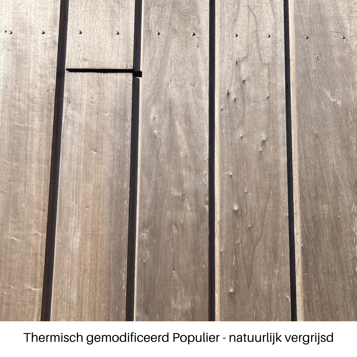 Thermo Populier Triple Rhombus | Houten gevelbekleding