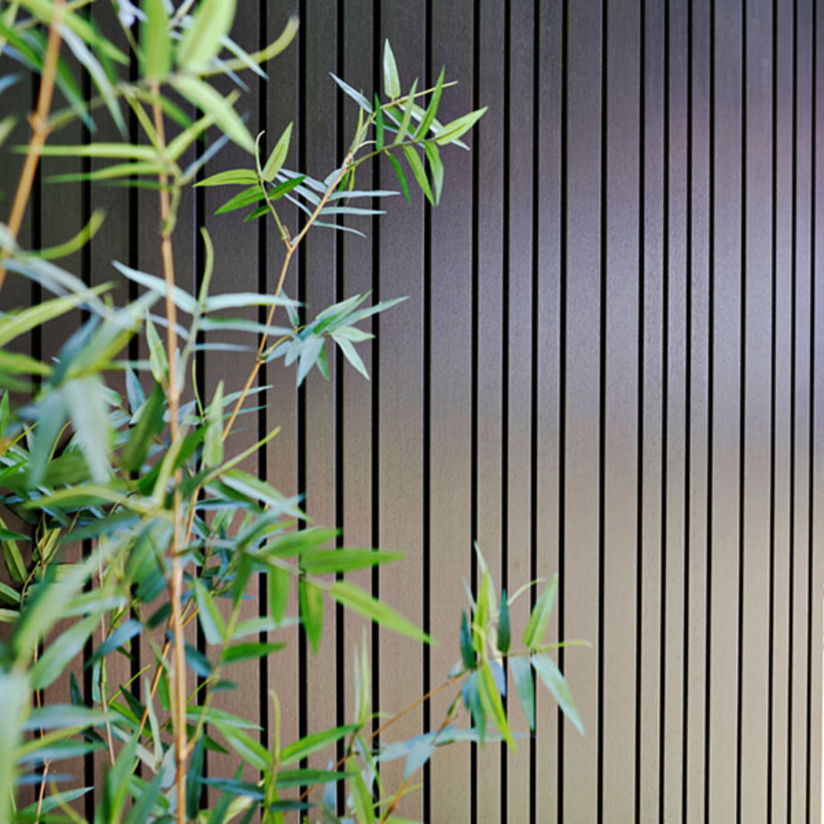Thermo bamboe | Duurzame bamboe gevelbekleding 🏡